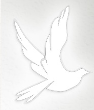 Lee Allen Goldizen - ShenandoahValleyObits.com | ShanandoahValleyObits.com