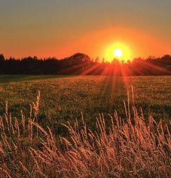 Philip Randall Carpenter - ShenandoahValleyObits.com ...