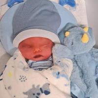 Elton Daniel Groah - ShenandoahValleyObits.com | ShanandoahValleyObits.com