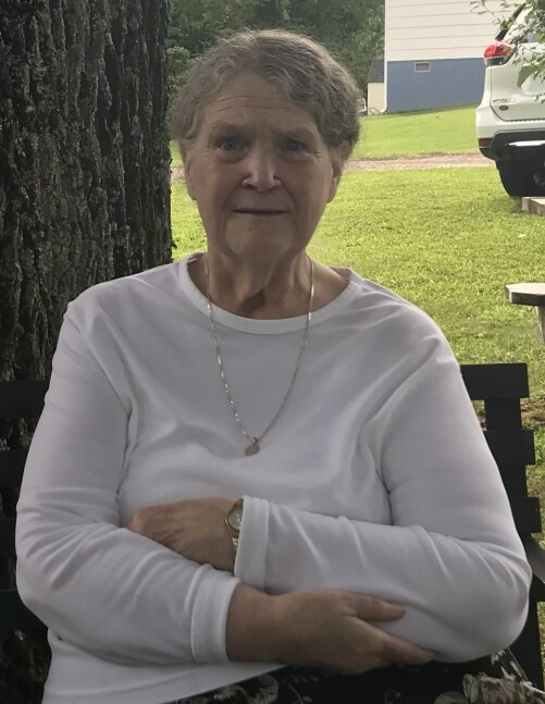 Janet Barnes - ShenandoahValleyObits.com | ShanandoahValleyObits.com